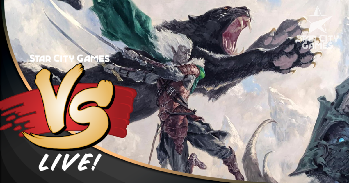VS Live! First Look At Adventures In The Forgotten Realms Standard ...