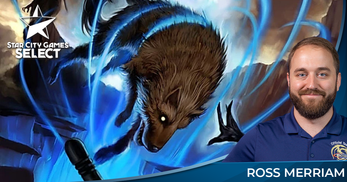 Eight Cards That Deserve More Play In Modern - Star City Games