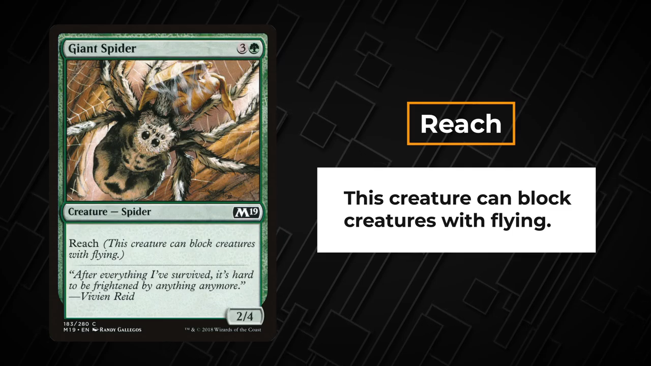 How To Play Magic: The Gathering | Keywords - Star City Games