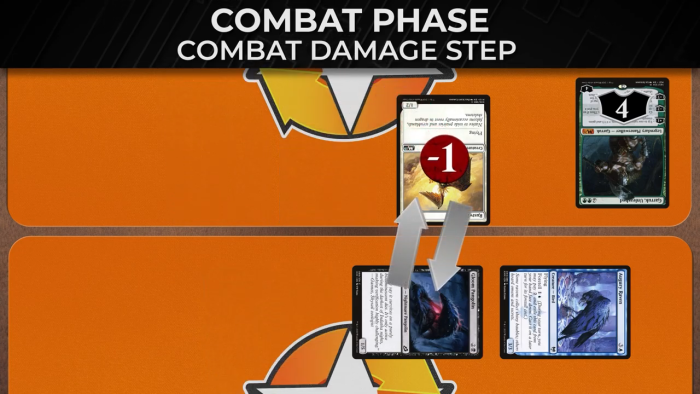 How To Play Magic: The Gathering | Steps Of A Turn - Star City Games