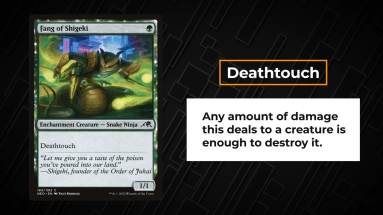 How To Play Magic: The Gathering | Keywords - Star City Games