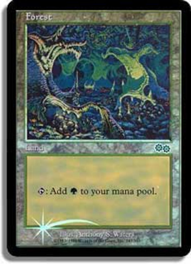 Five Of Magic: The Gathering's Most Expensive Basic Land Cycles - Star ...