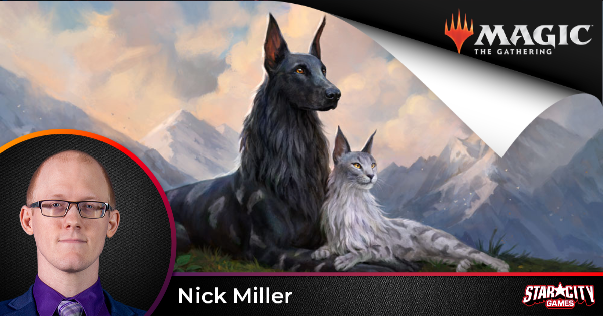 First Previews Of Secret Lair Raining Cats & Dogs Commander Deck ...
