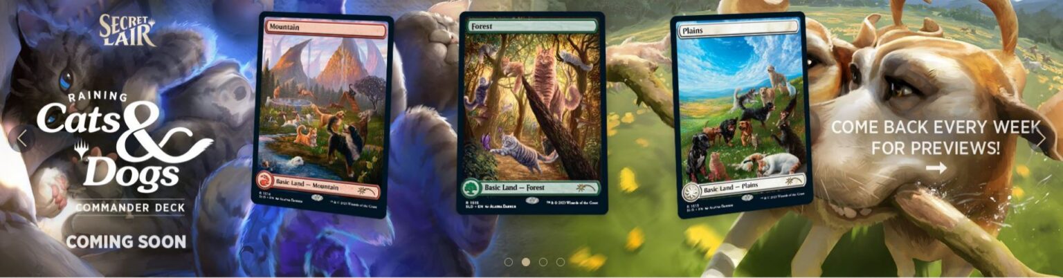 Basic Lands From Secret Lair Raining Cats & Dogs Commander Deck Revealed - Star City Games