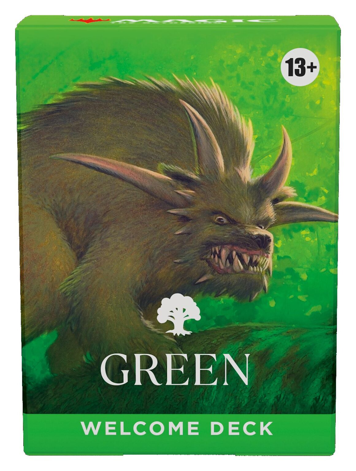 Full Contents Of 2024 MTG Welcome Decks Revealed - Star City Games