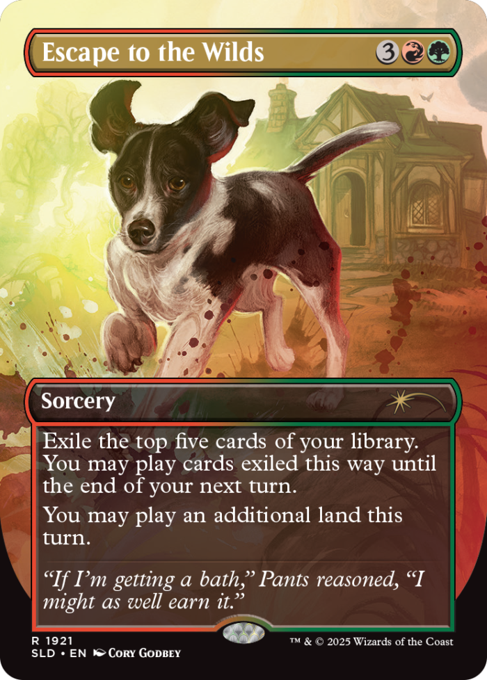 MTG Chaos Vault Releases Secret Lair Cats VS Dogs - Star City Games