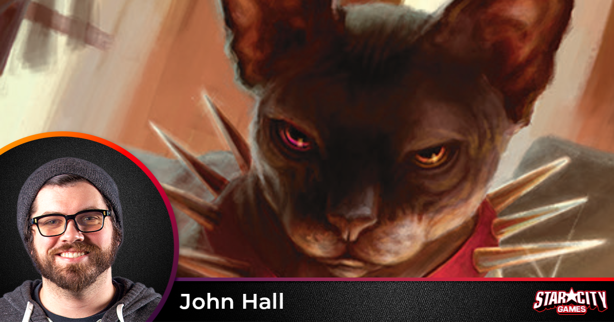 MTG Chaos Vault Releases Secret Lair Cats VS Dogs - Star City Games
